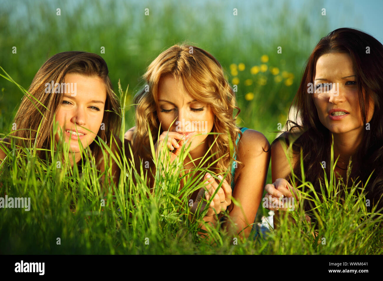women fun on grass field Stock Photo - Alamy