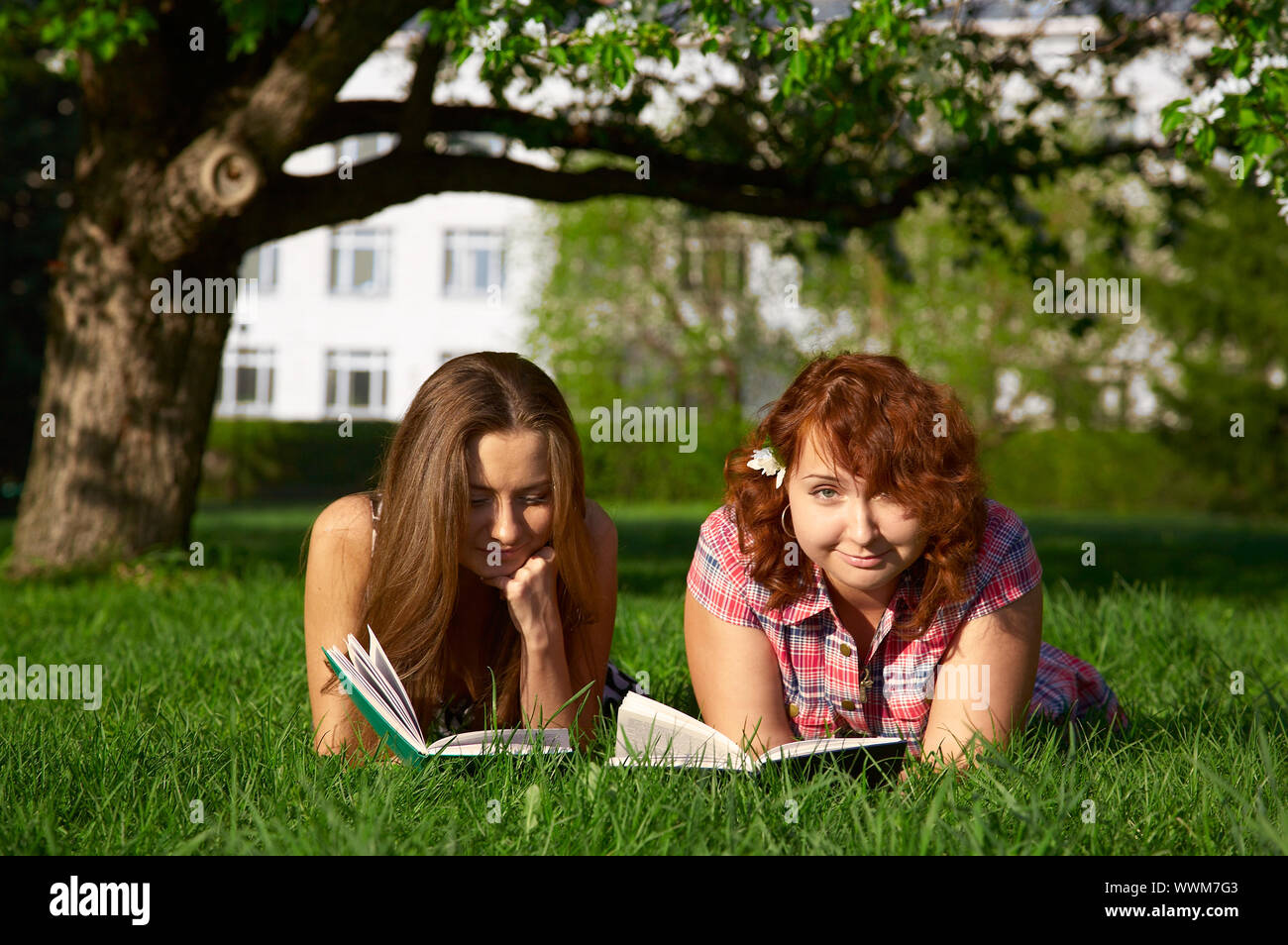 two student girls studying outdoors on grass Stock Photo - Alamy