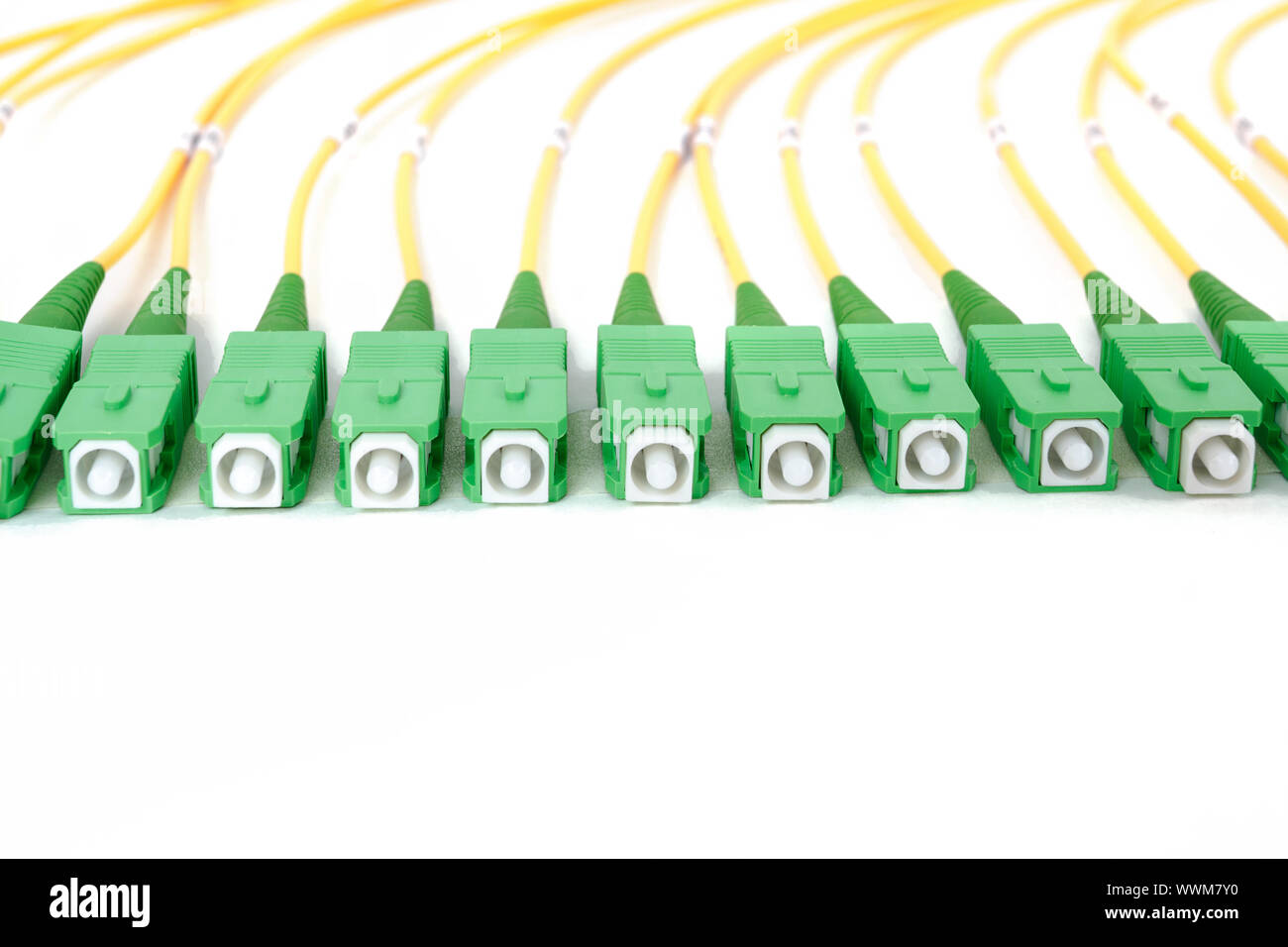 green fiber optic SC connectors Stock Photo - Alamy