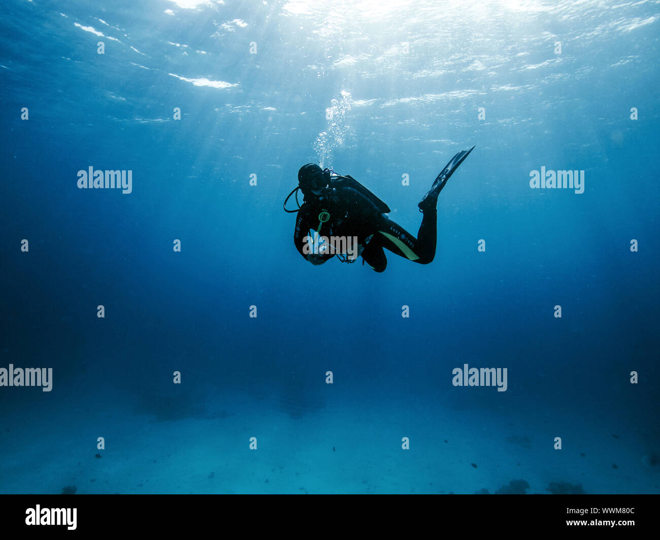 Woman diver red hi-res stock photography and images - Alamy