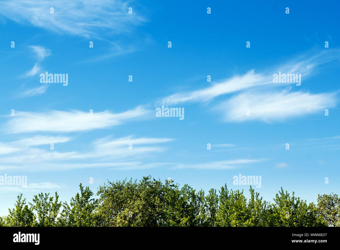 Beautiful spring sky with clouds Stock Photo - Alamy