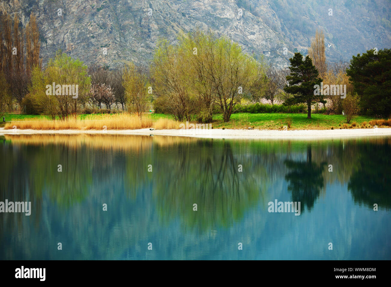 tree reflection in spring mountain lake Stock Photo - Alamy