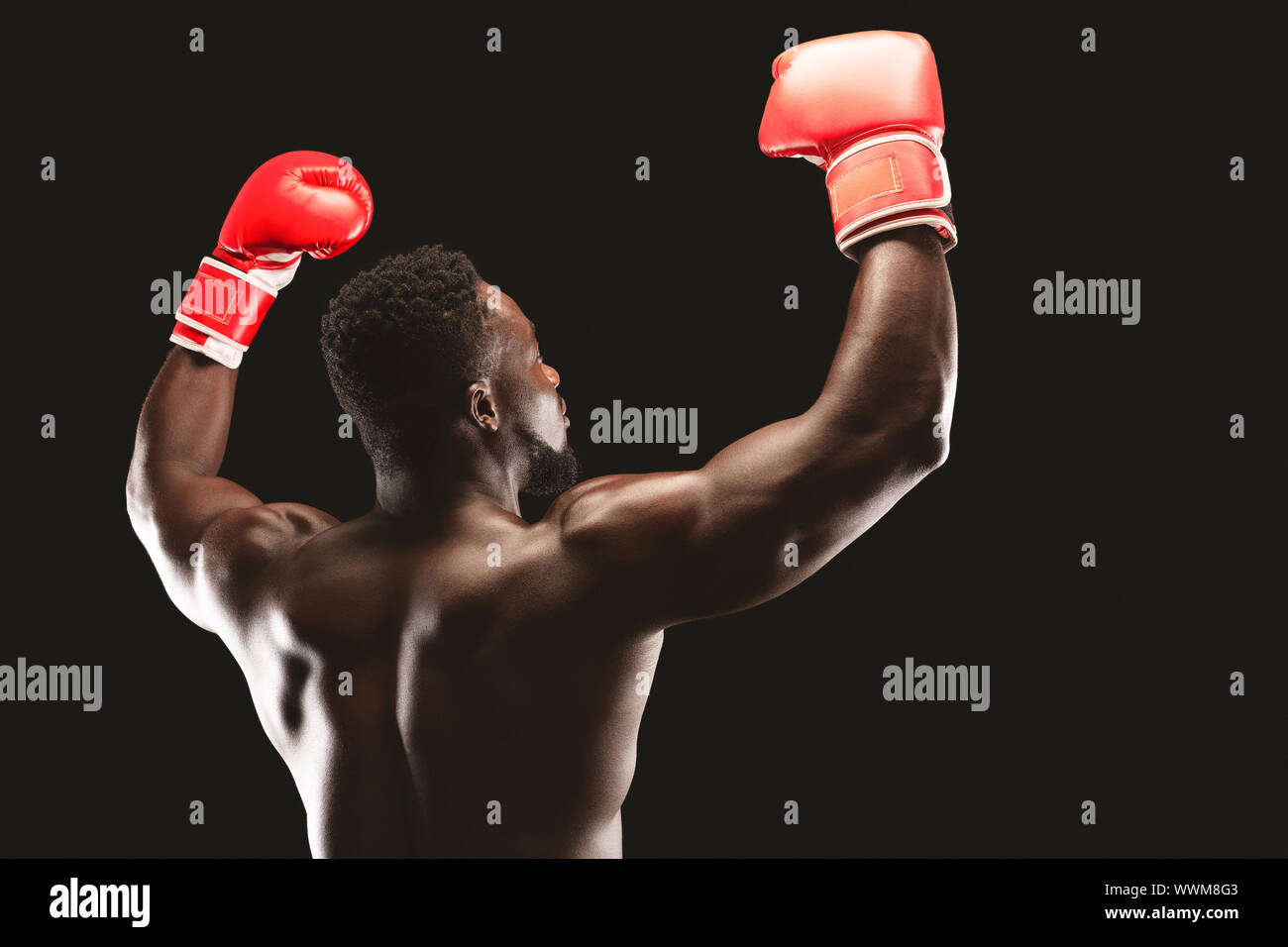 Rear view of african professional boxer demonstrating victory gesture ...