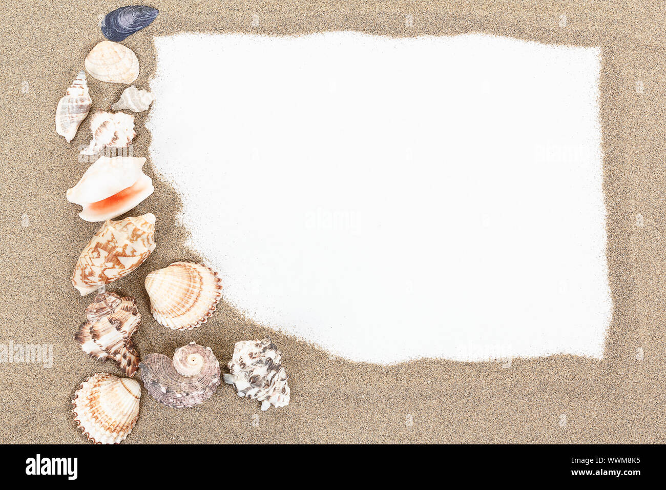 sea shells with sand and white paper as background Stock Photo - Alamy