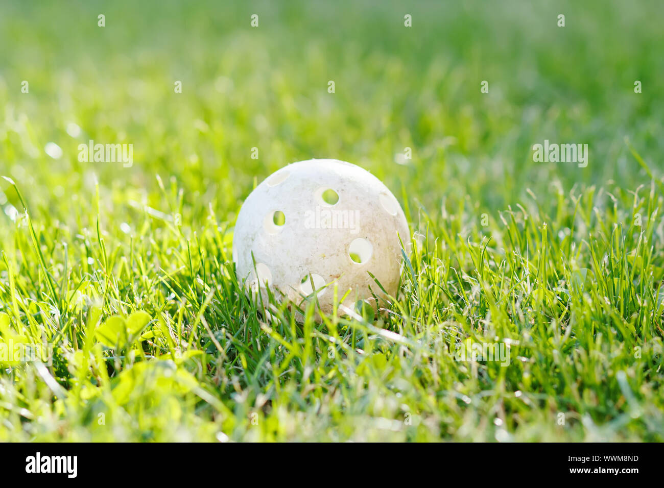 floorbal ball in green grass Stock Photo - Alamy