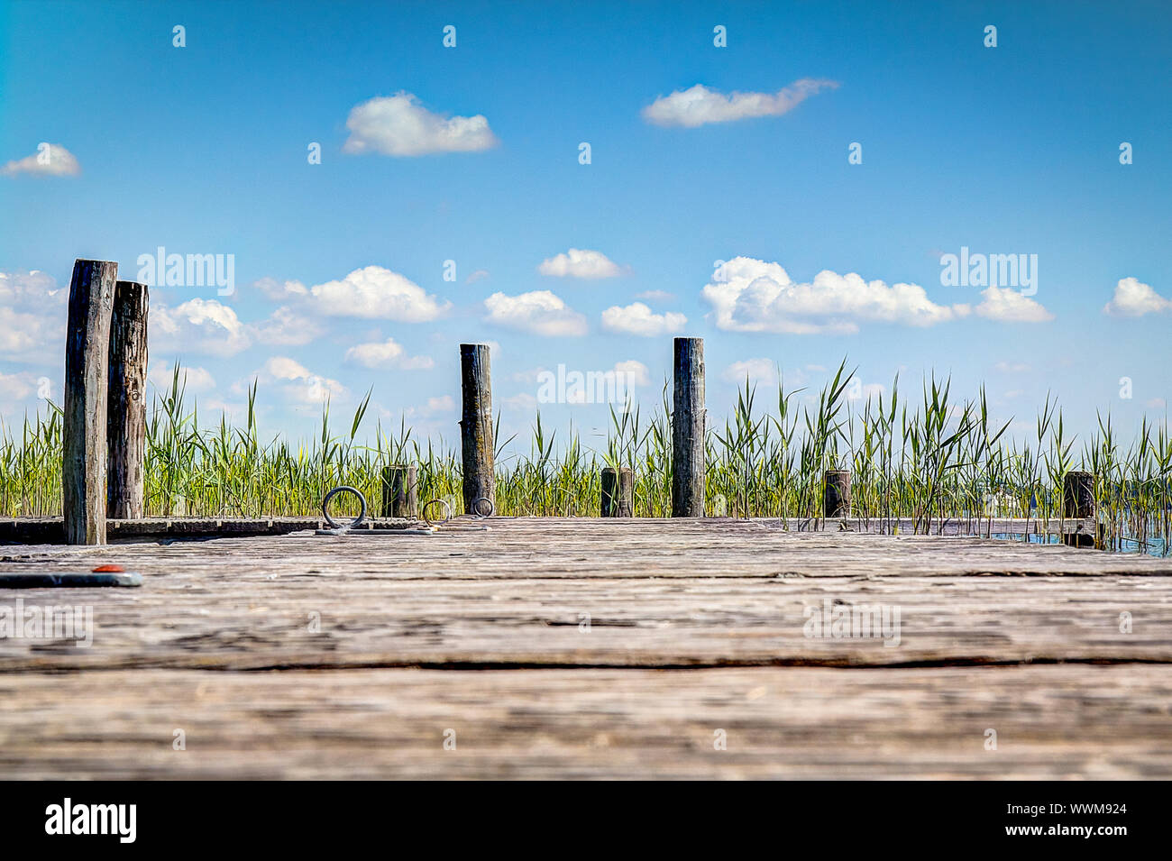 Lake Muritz High Resolution Stock Photography and Images - Alamy
