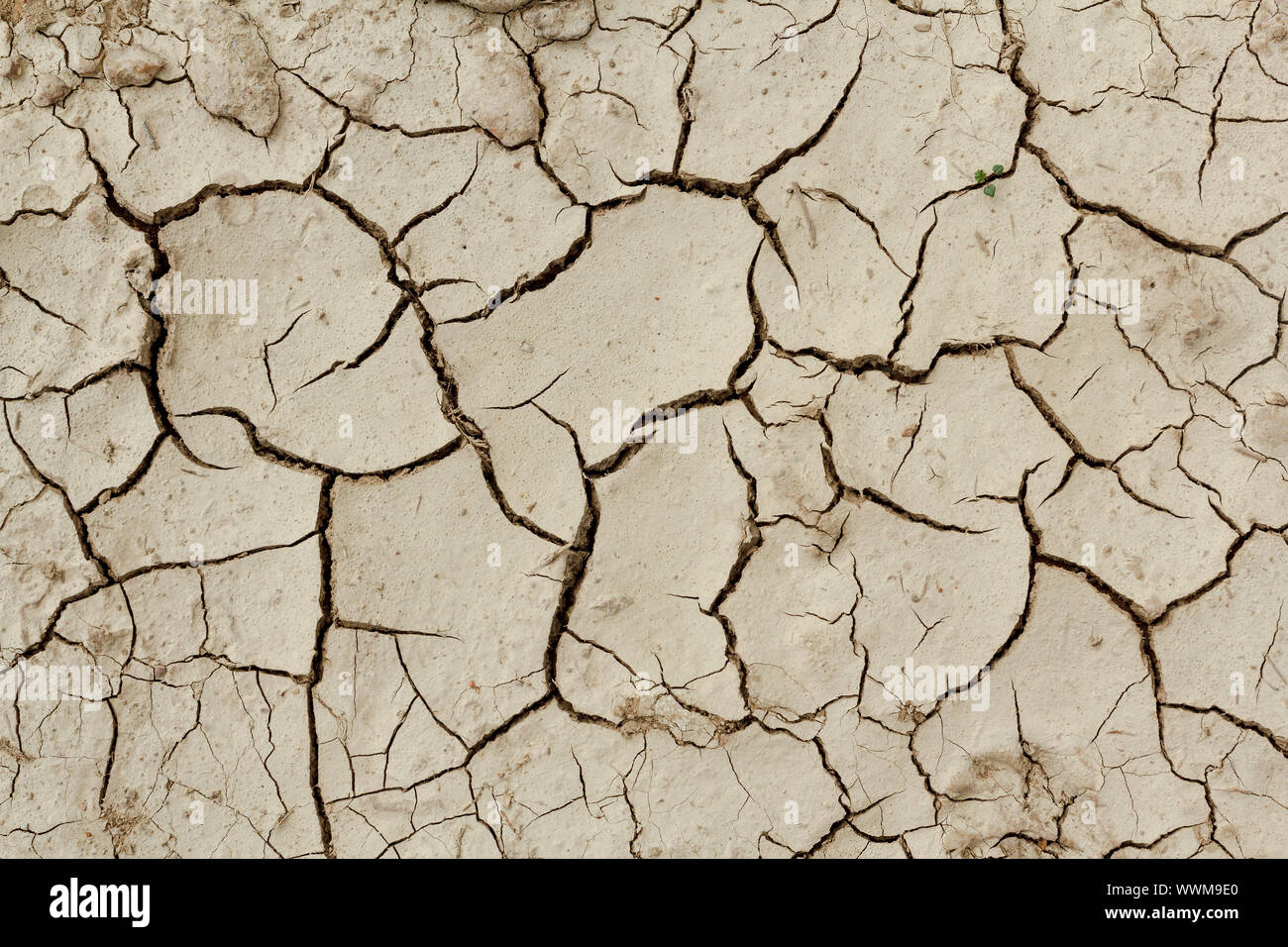 Dry Mud Texture