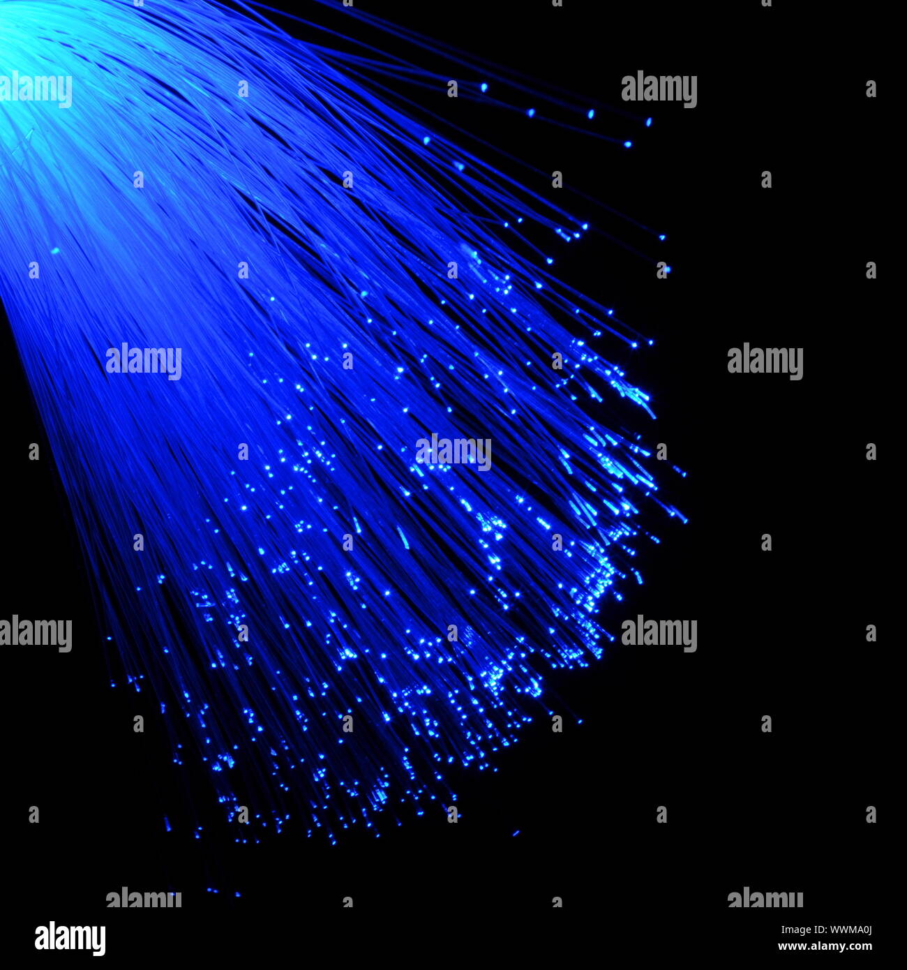 blue fiber optic on from computer network Stock Photo - Alamy