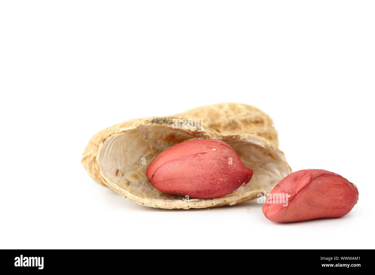 peanut isolate on white close up Stock Photo - Alamy