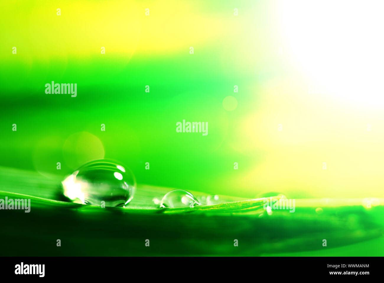 water drop shine in sun light Stock Photo - Alamy