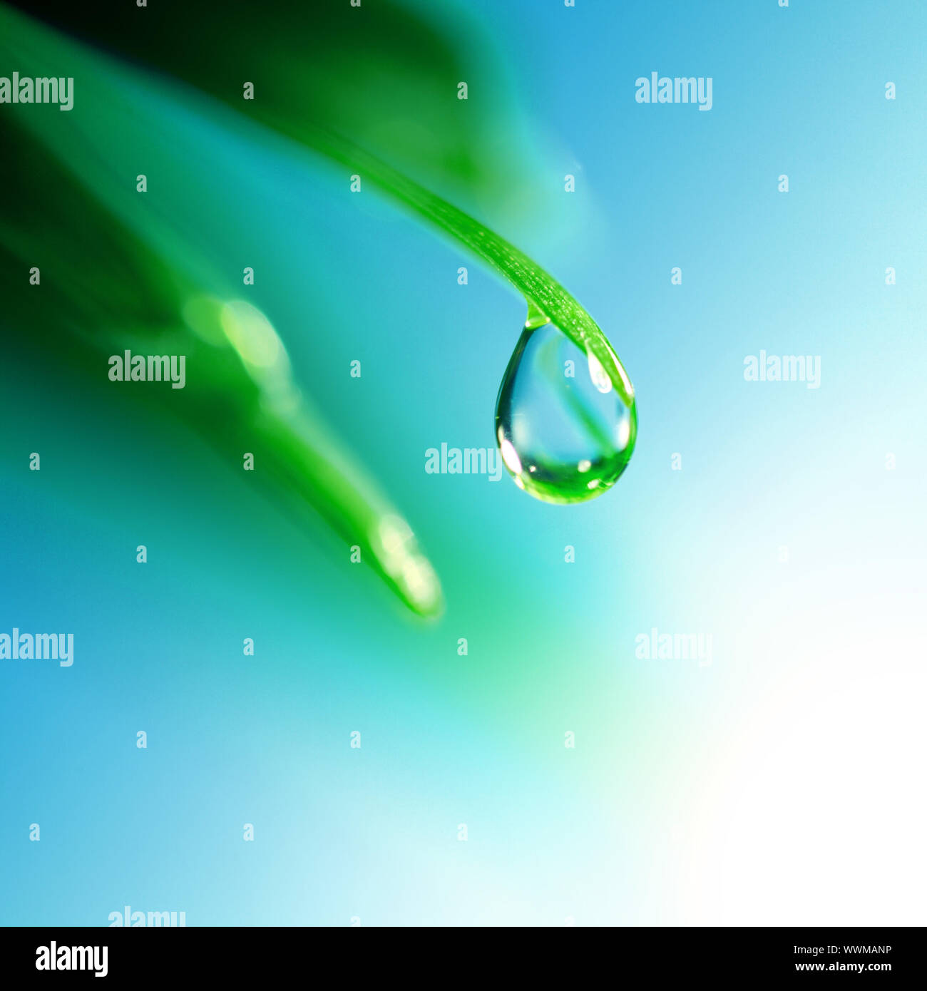 water drop shine in sun light Stock Photo - Alamy