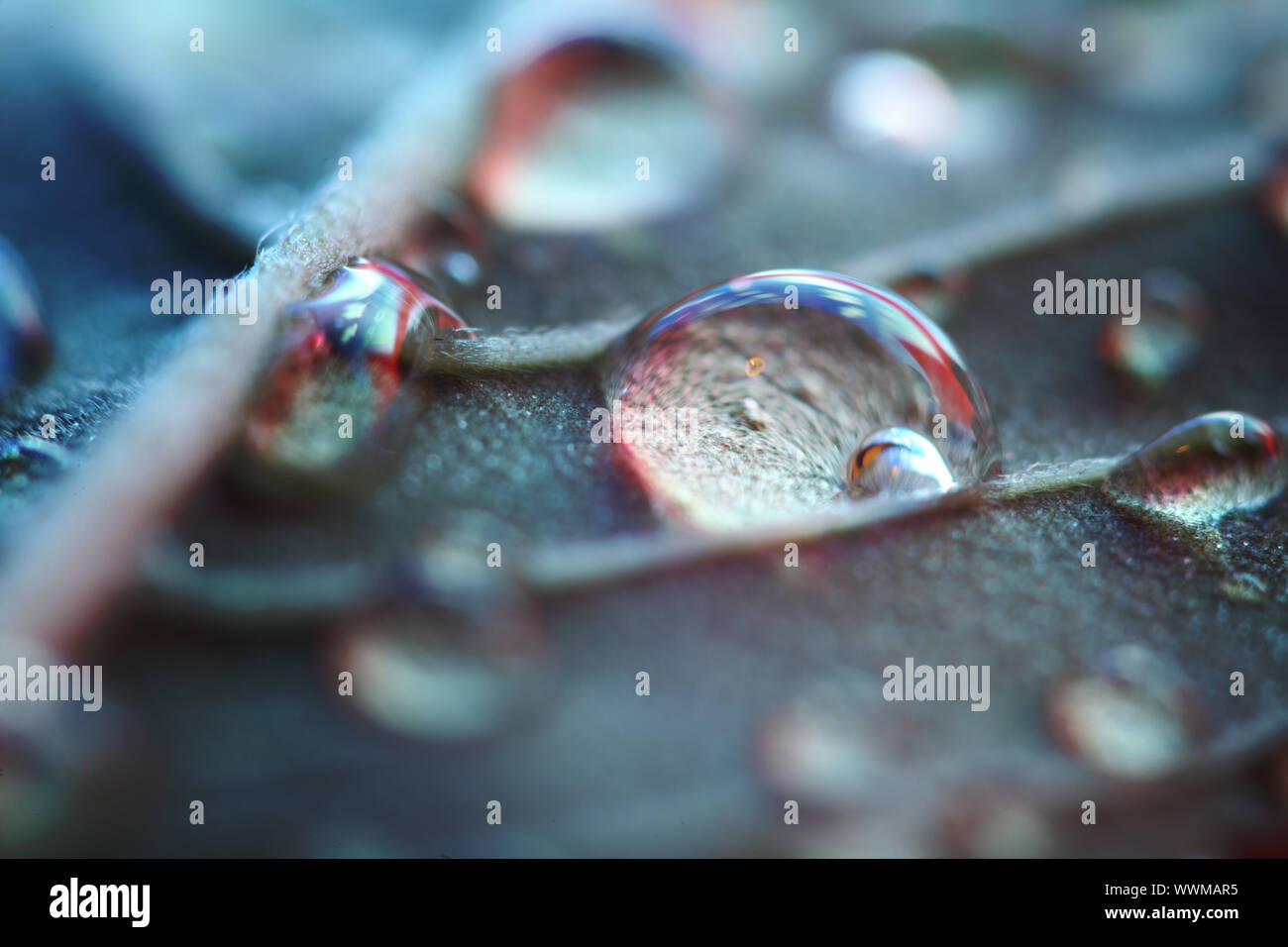 water drop macro close up Stock Photo - Alamy