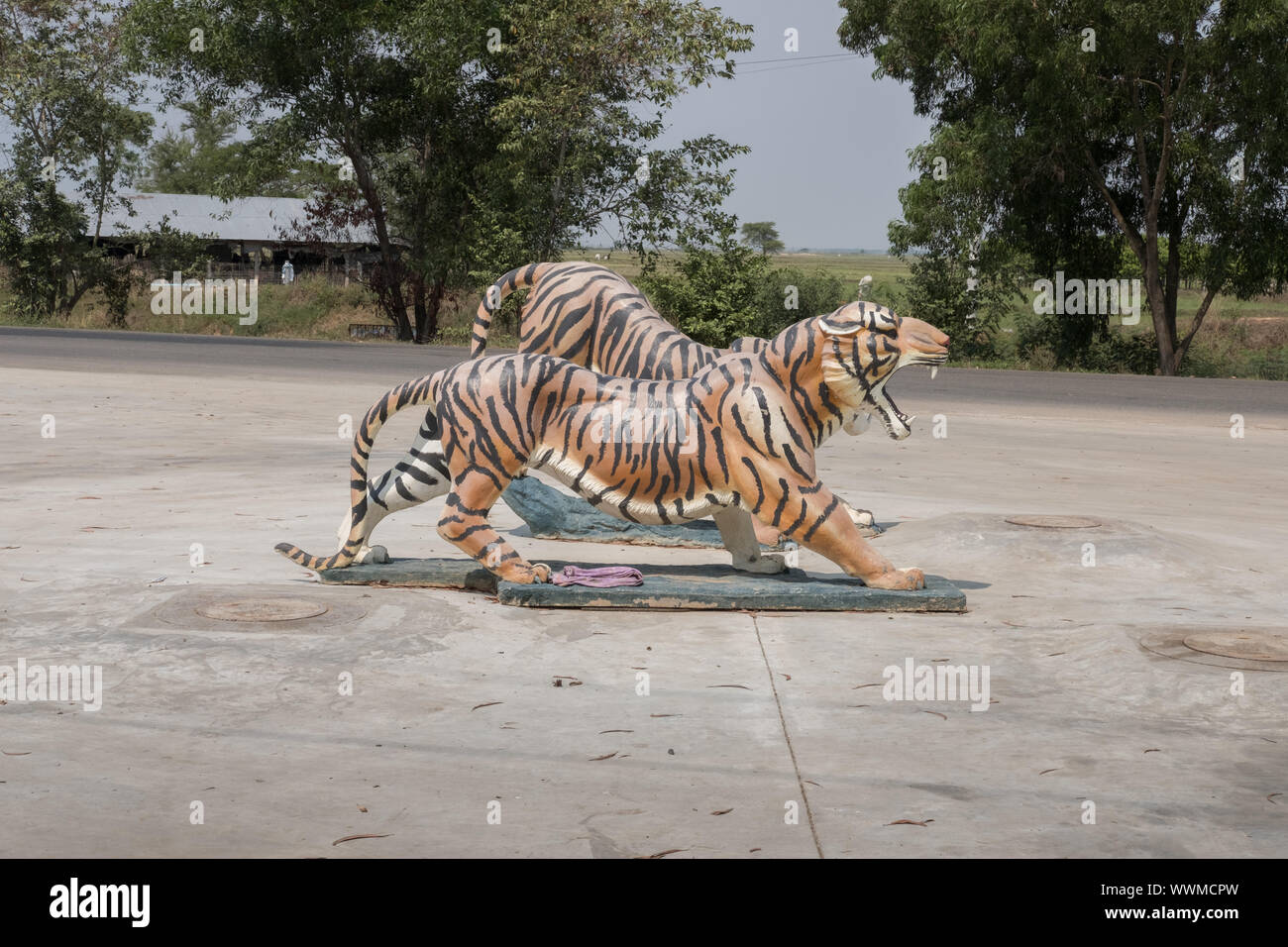 Stock image of tiger hi-res stock photography and images - Alamy