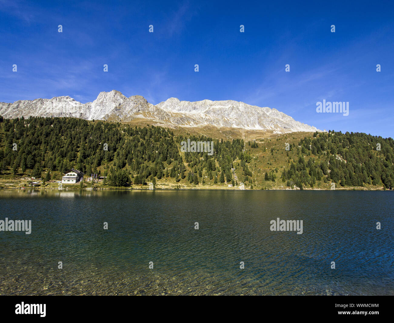 Alm austria hi-res stock photography and images - Alamy