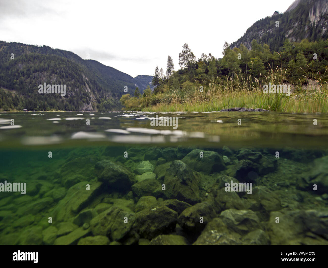 Vorderer Gosausee, Salzkammergut Stock Photo - Alamy