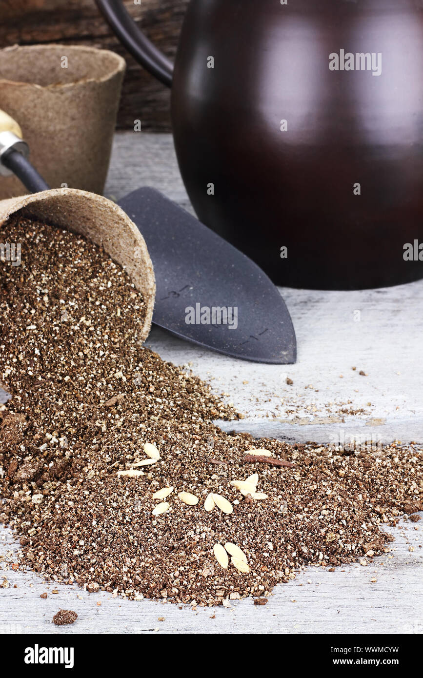 Flower seeds spilling hi-res stock photography and images - Alamy