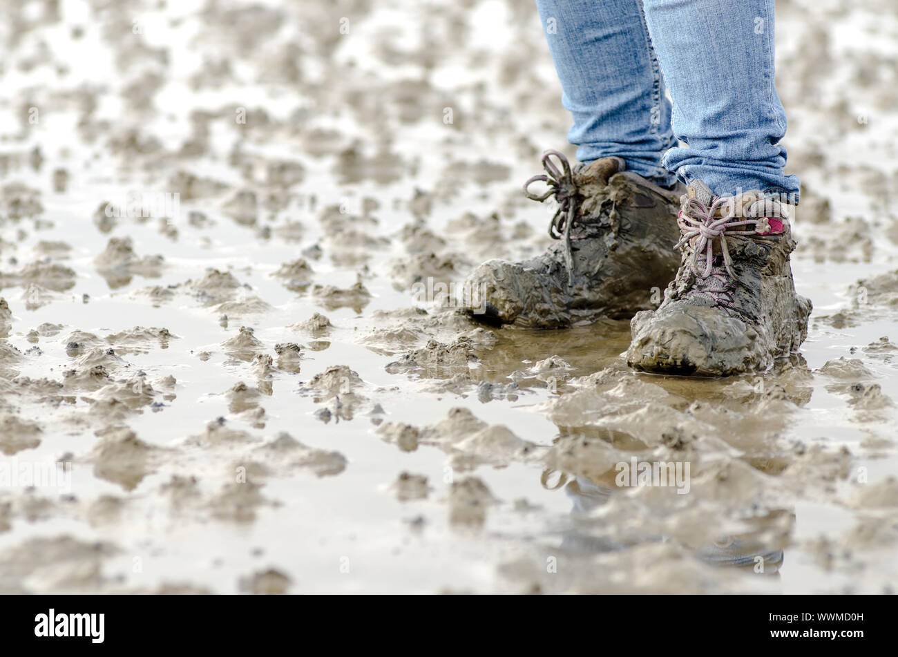 Mudflat tour hi-res stock photography and images - Alamy