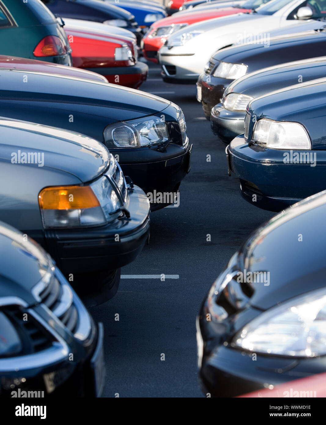 Large group of Parked Cars in a row Stock Photo - Alamy