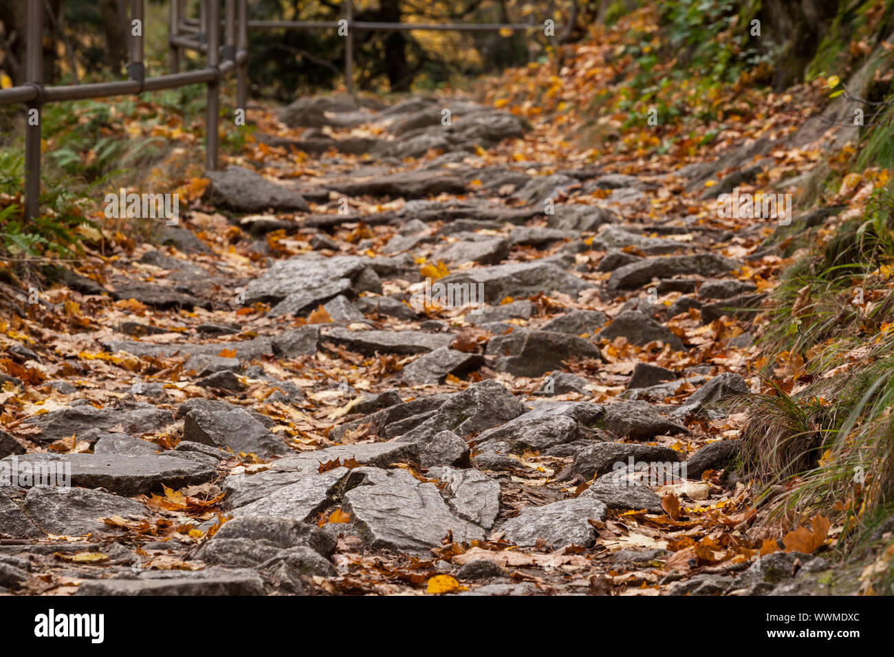 Hiking trail Harzer Hexen-stieg here in Bodetal Stock Photo - Alamy