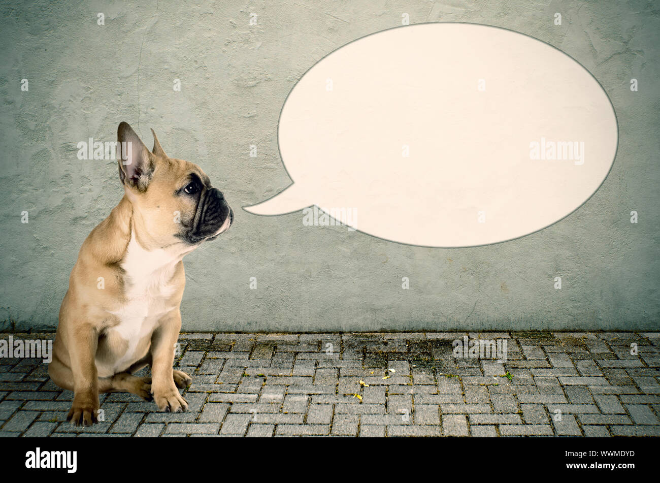 See something say something hi-res stock photography and images - Alamy