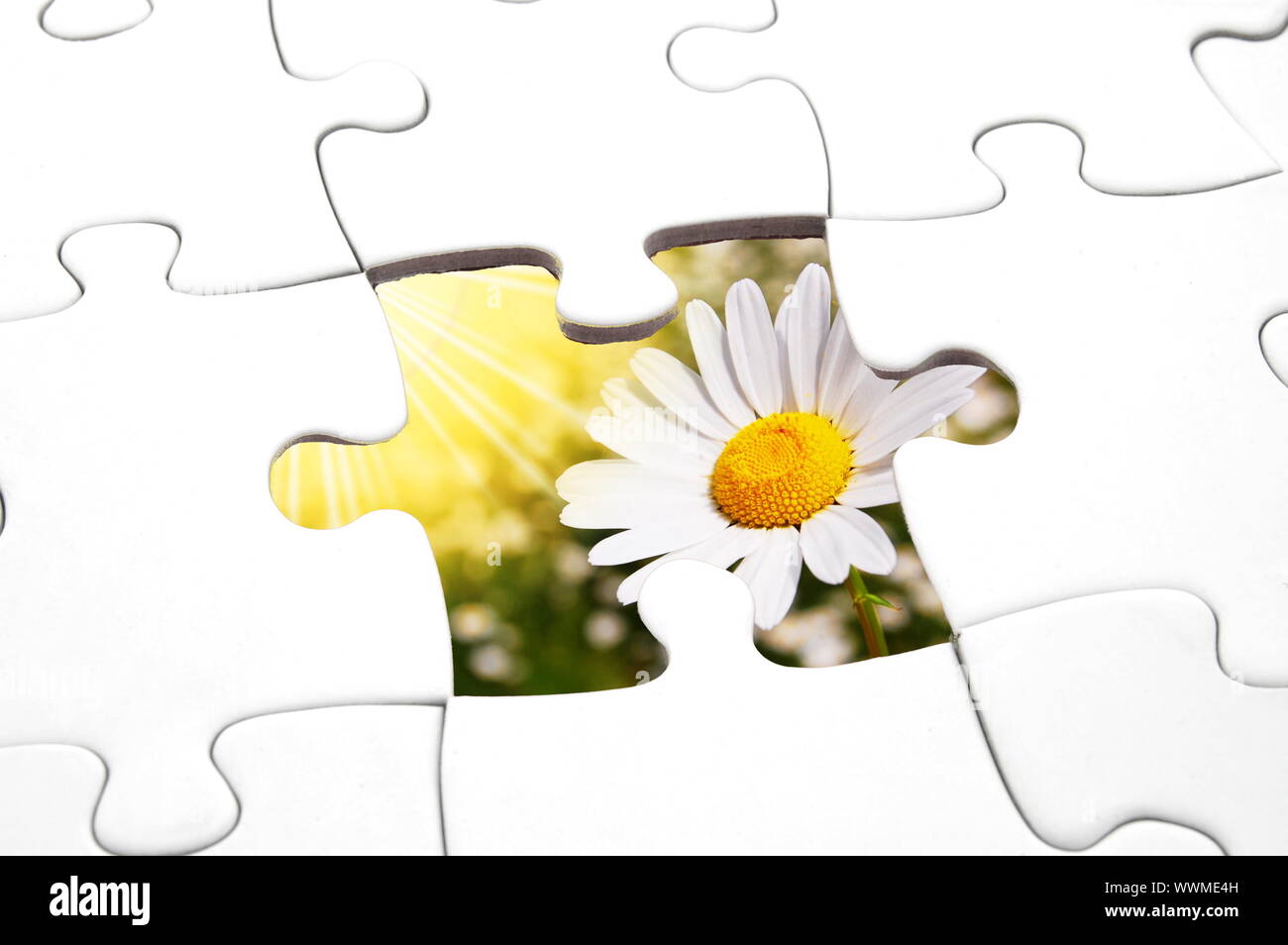 puzzle and flower showing concept for fragile nature Stock Photo - Alamy