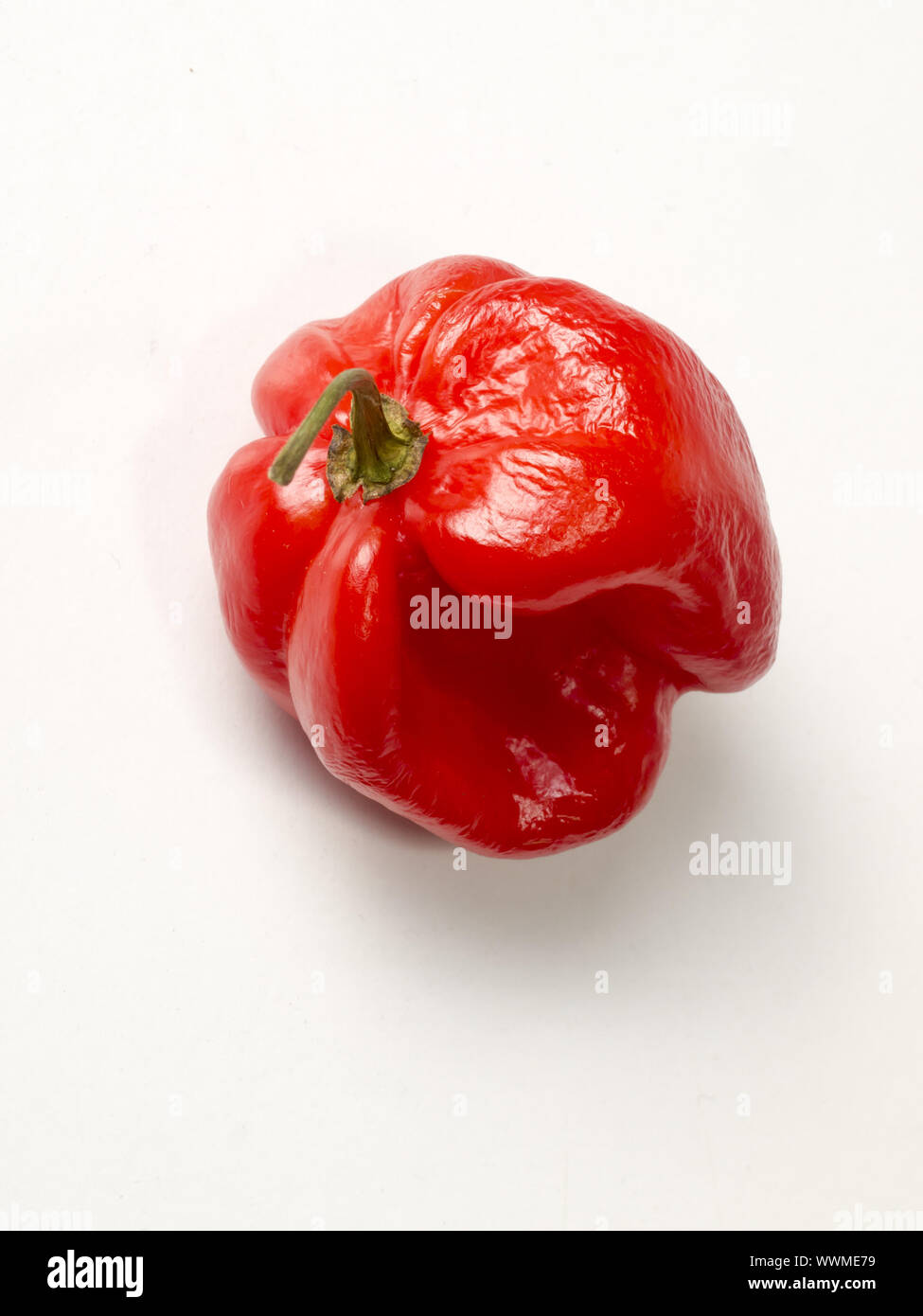 Hot habanero chilli hi-res stock photography and images - Alamy