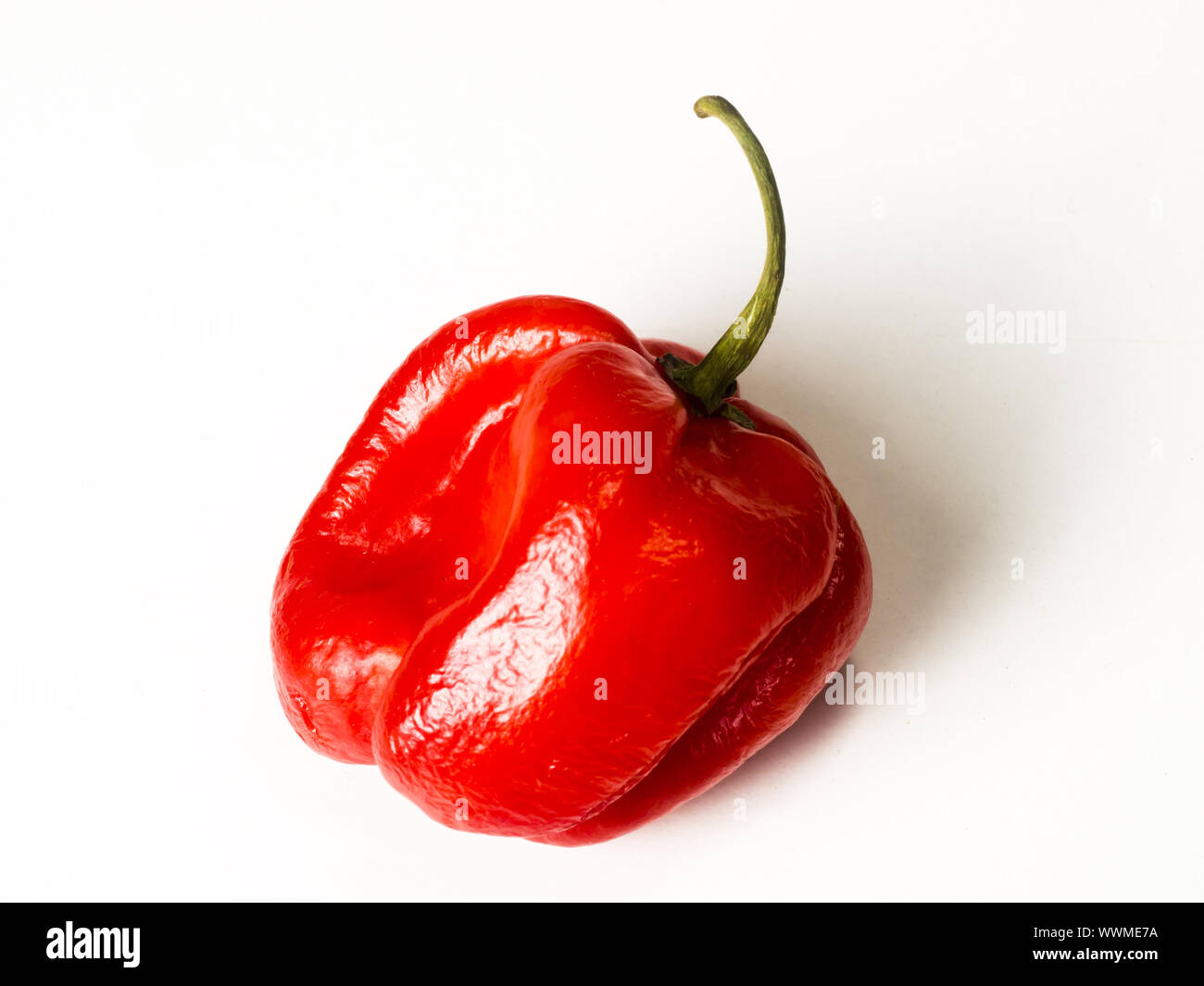 Hot habanero hi-res stock photography and images - Alamy