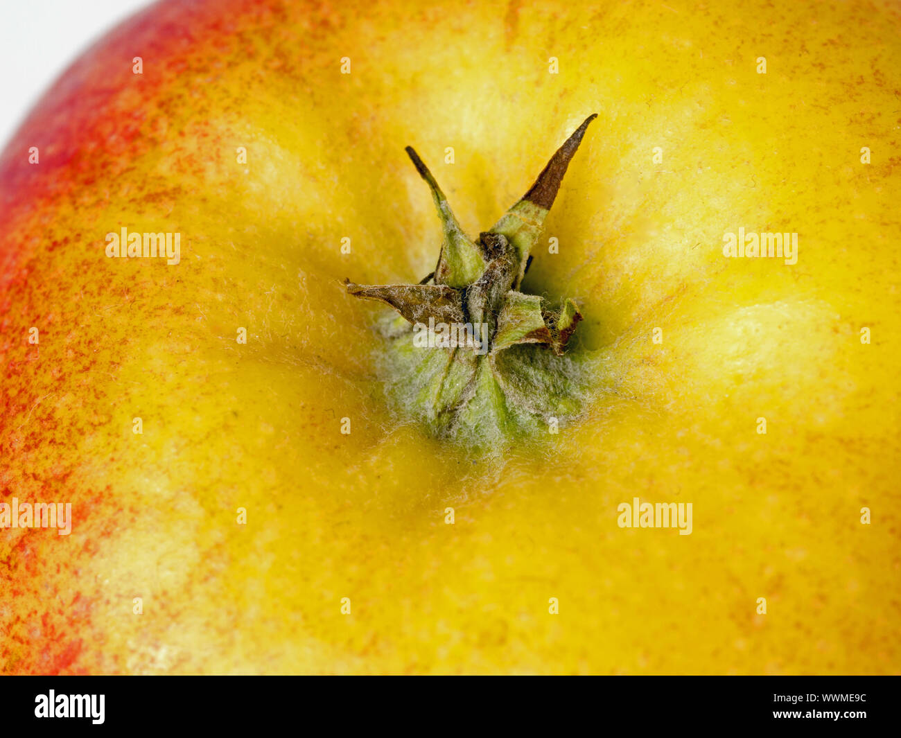 Apple / Braeburn Stock Photo - Alamy