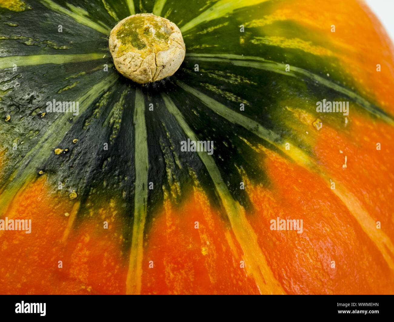 Red kuri squash / Hokkaido pumpkin Stock Photo - Alamy