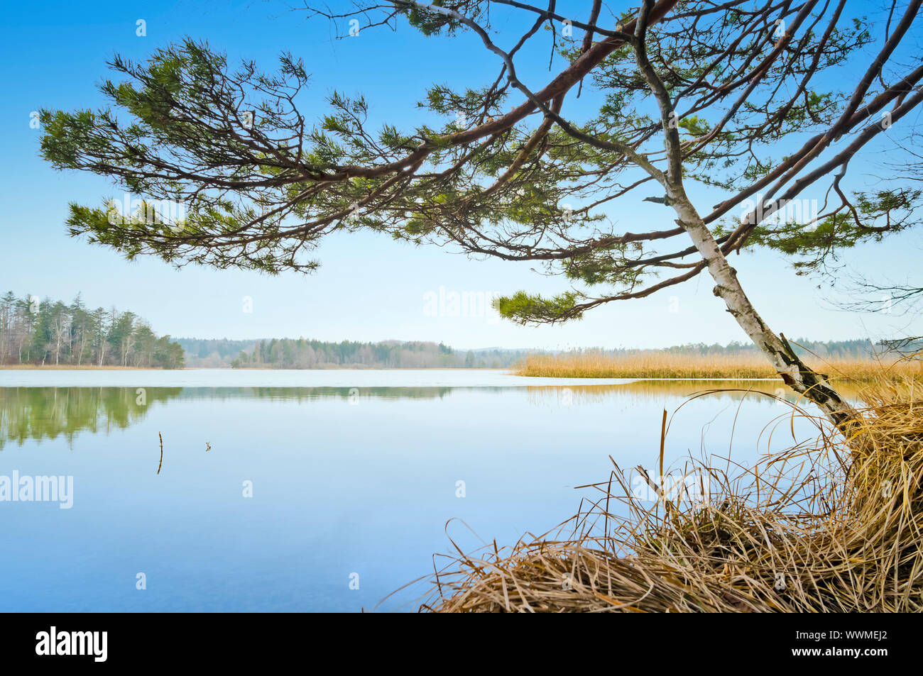 An image of a typical lake in Bavaria Germany Stock Photo - Alamy