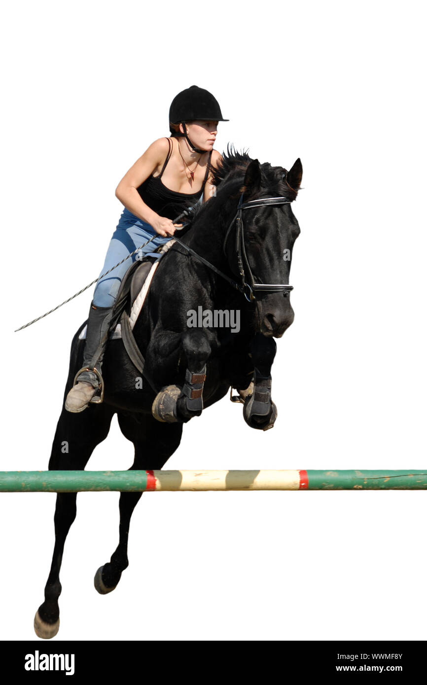 Black Thoroughbred Stallion Jumping