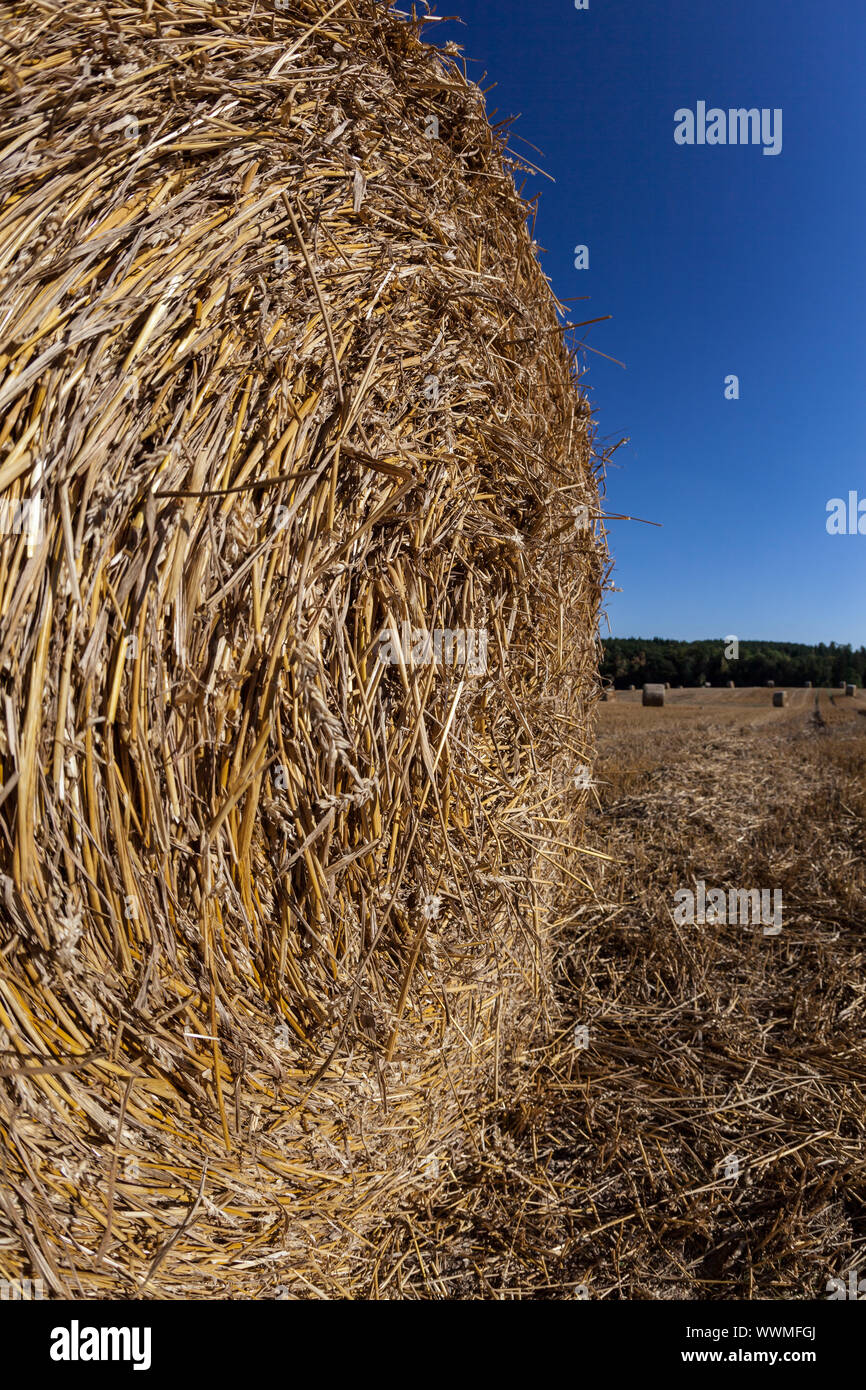 Straw role hi-res stock photography and images - Alamy