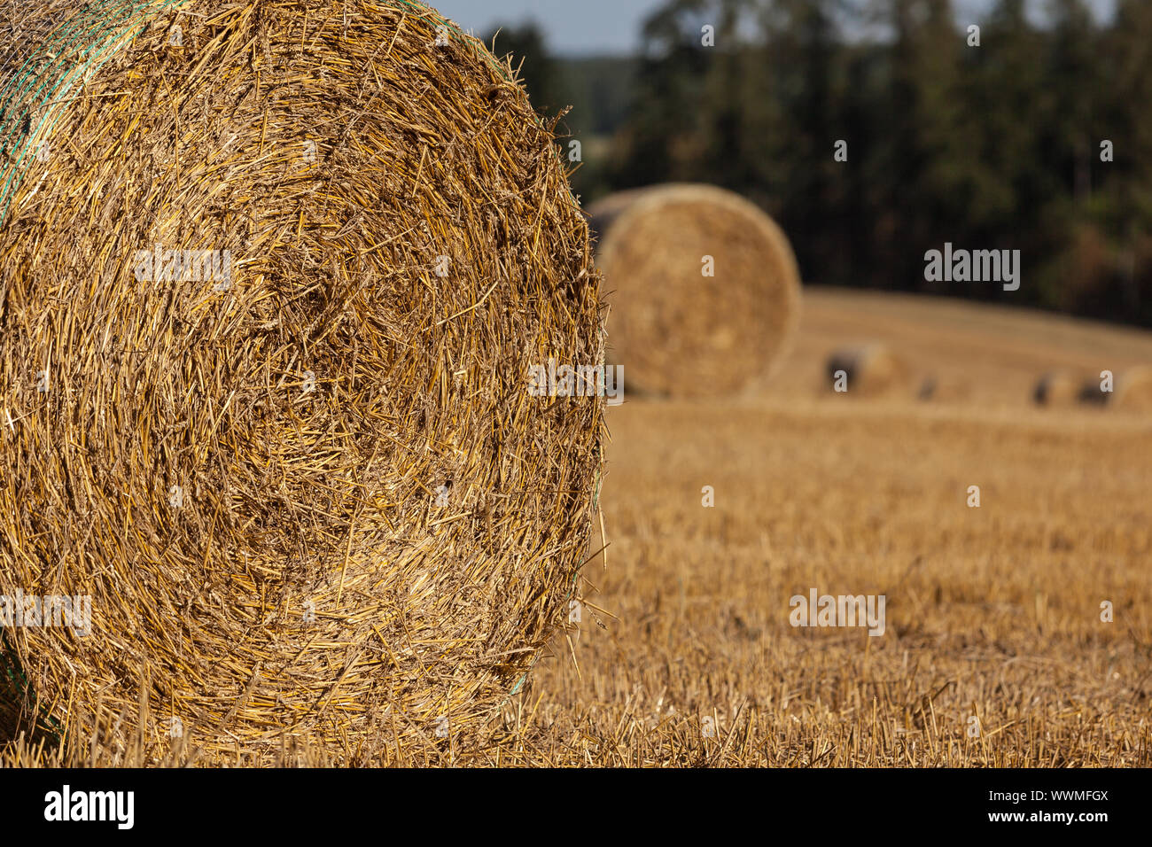 Bale village hi-res stock photography and images - Alamy