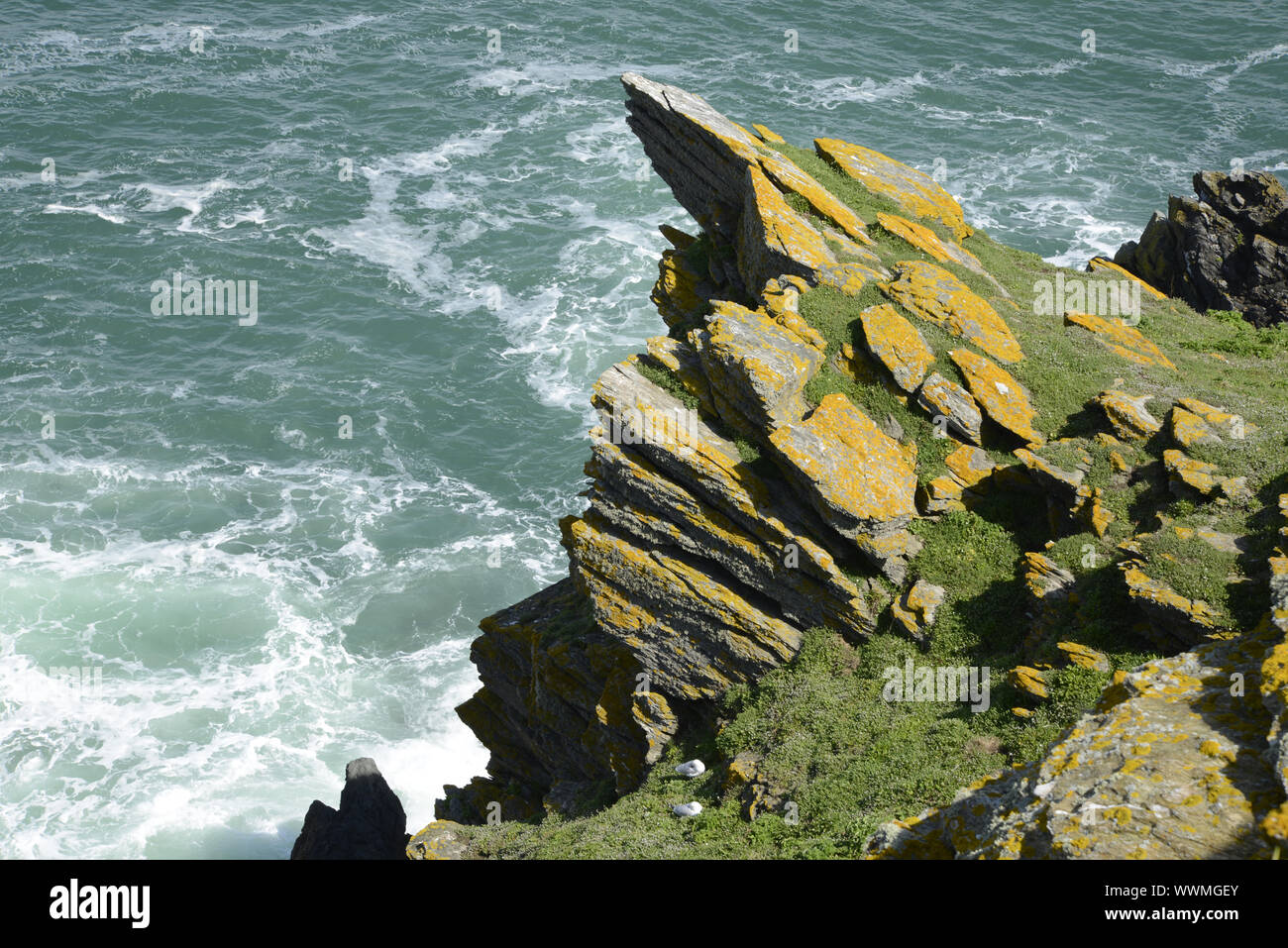 Coast of the Ile de Groix, Brittany Stock Photo - Alamy