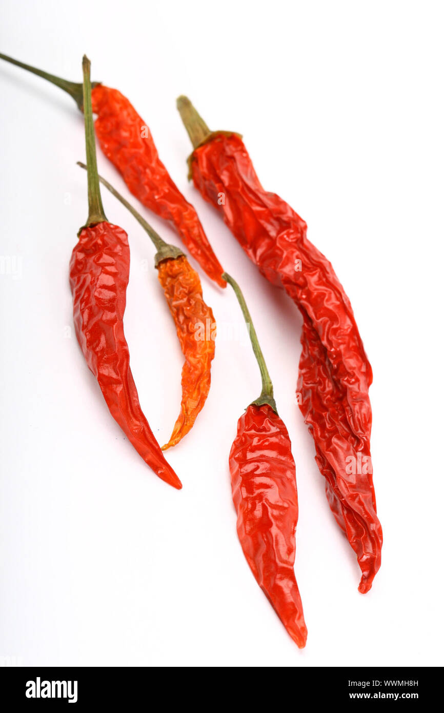 dried chili pepper isolated on white Stock Photo - Alamy