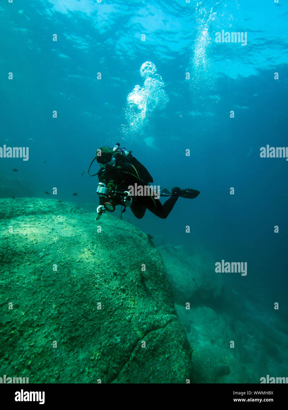 Female diver hi-res stock photography and images - Alamy