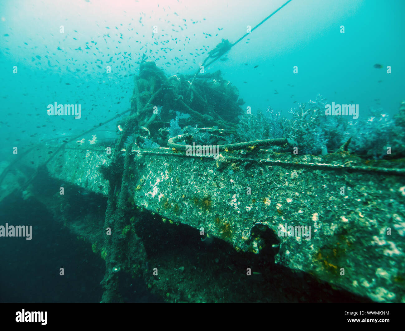 King Cruiser High Resolution Stock Photography and Images - Alamy