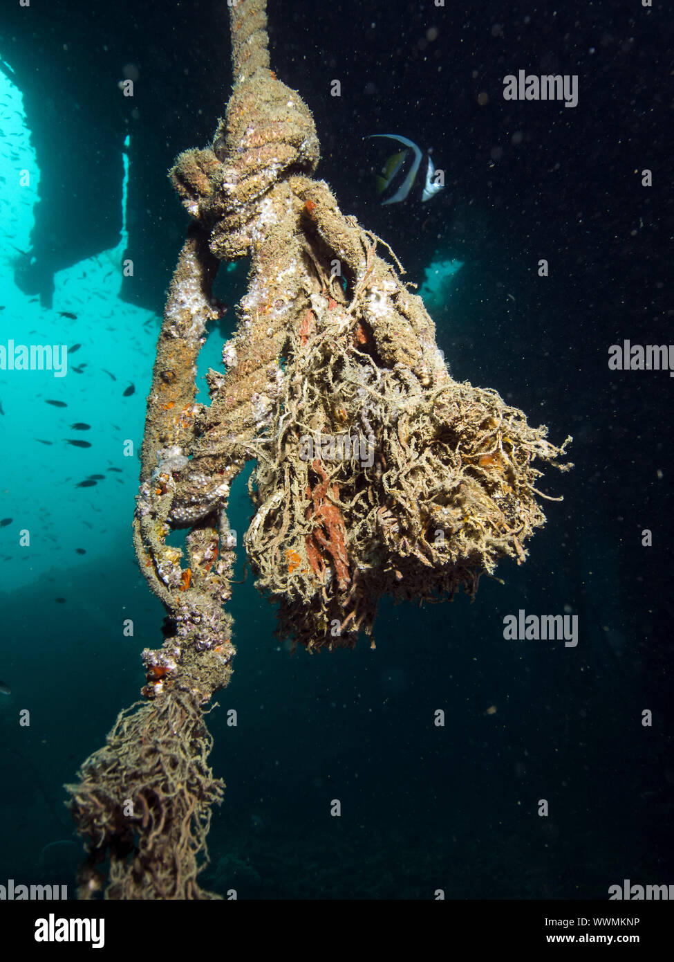 King Cruiser wreck Stock Photo - Alamy