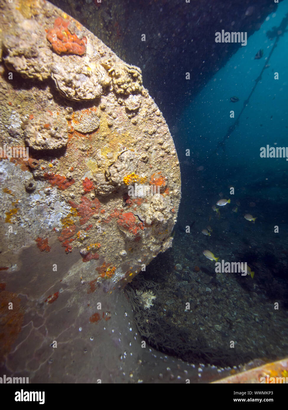 King Cruiser Wrack Stock Photo - Alamy