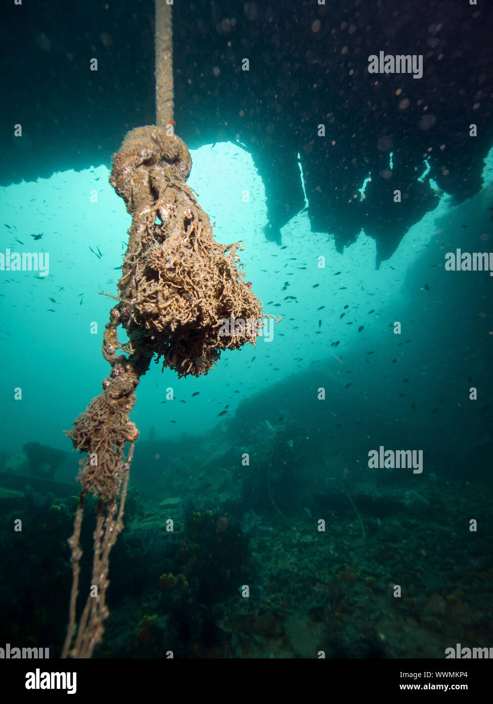 King cruiser hi-res stock photography and images - Alamy