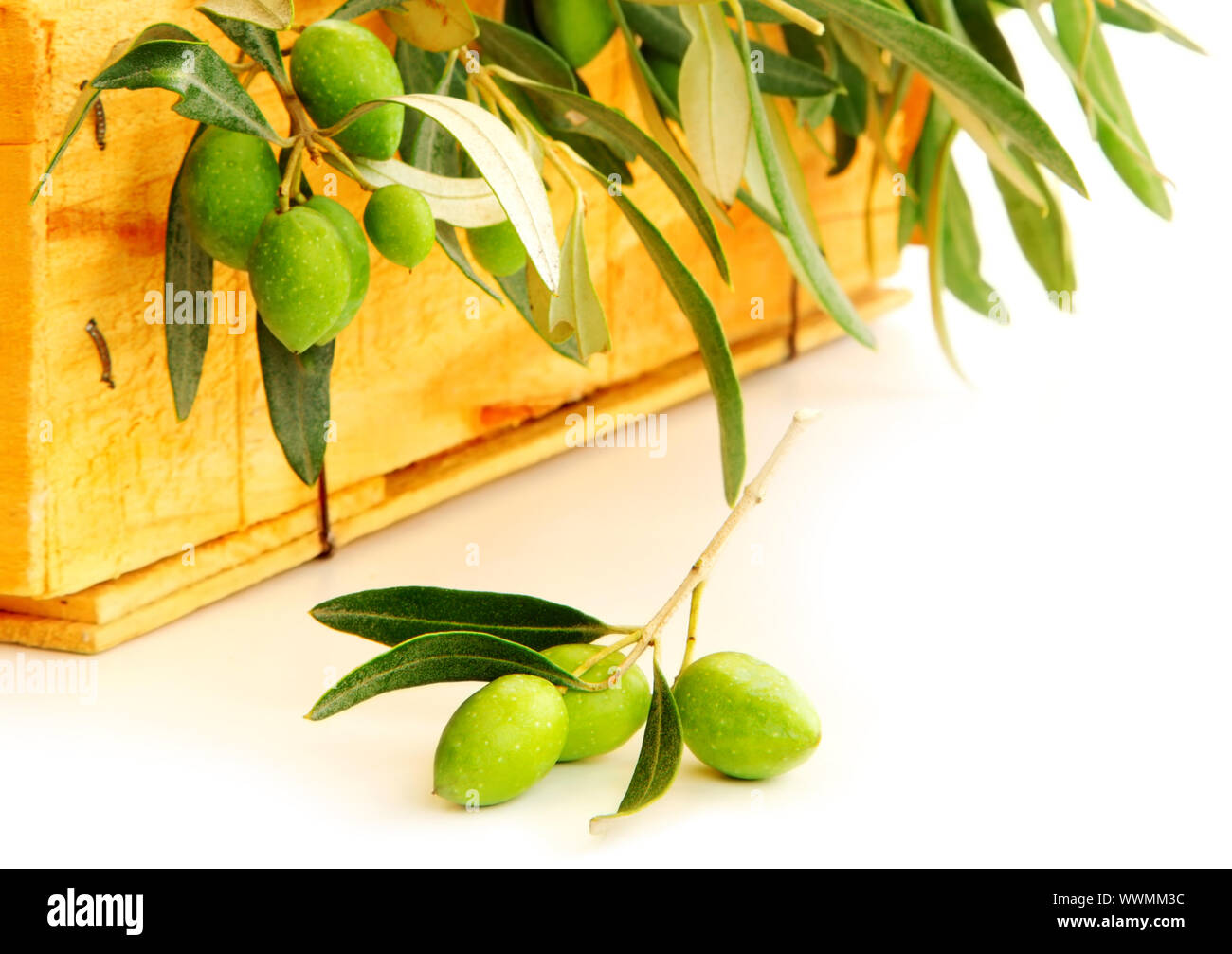 Fresh green olives isolated on white background Stock Photo - Alamy