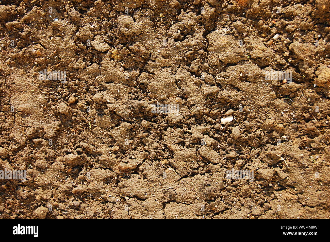 texture and pattern of old dirty soil Stock Photo - Alamy