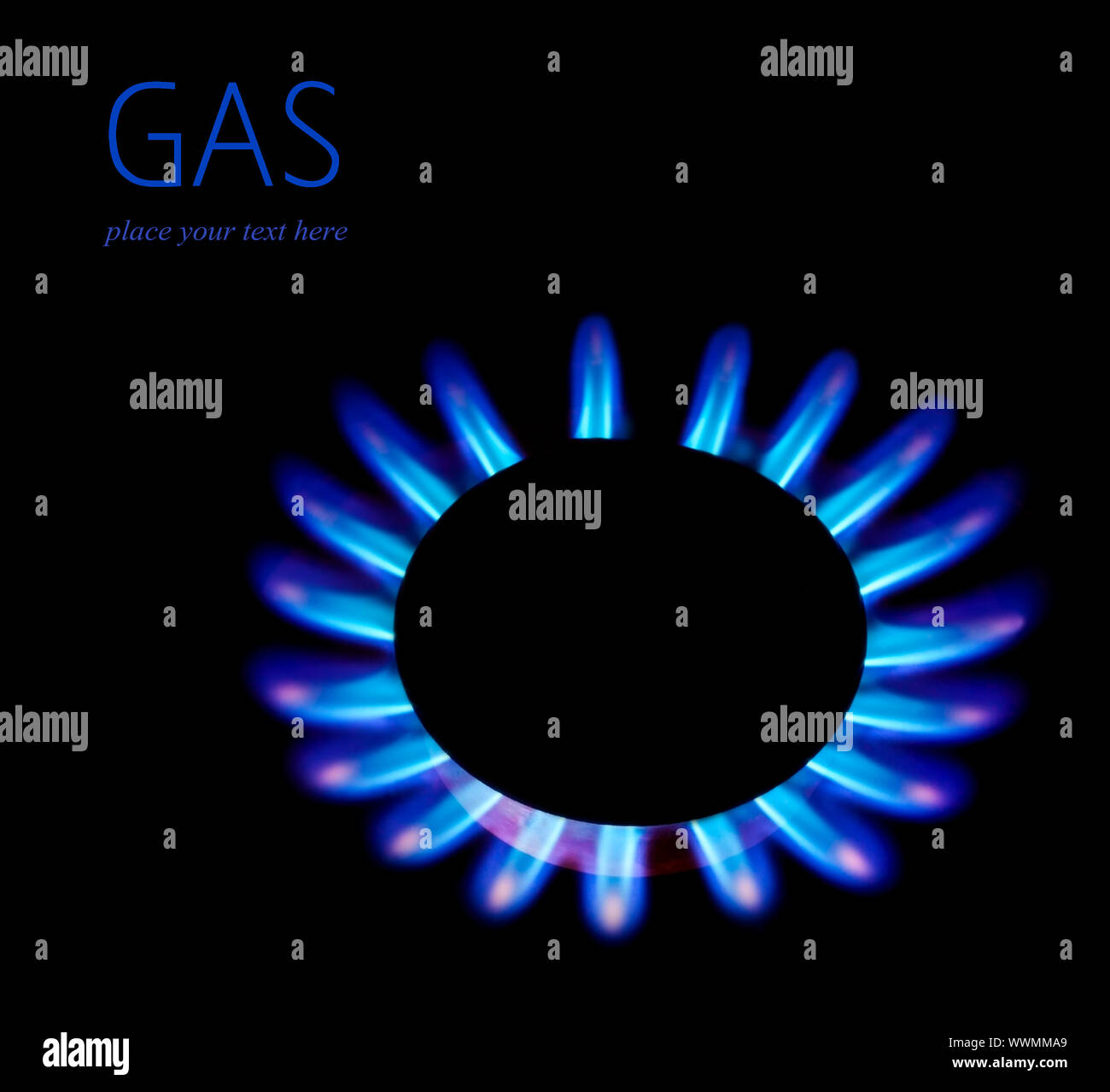 Gas blaze blue flower, isolated on black background with text space ...
