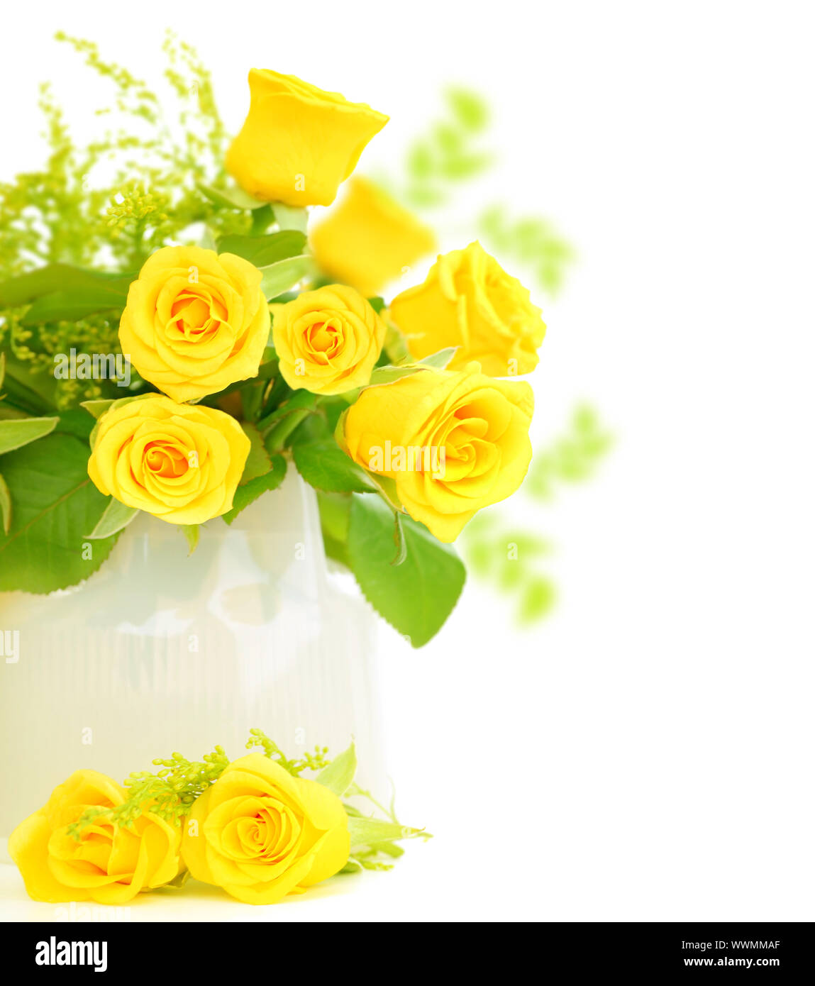 Fresh yellow roses border isolated on white background Stock Photo - Alamy
