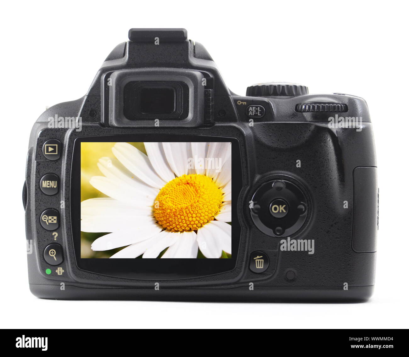 Holidy background Cut Out Stock Images & Pictures - Alamy