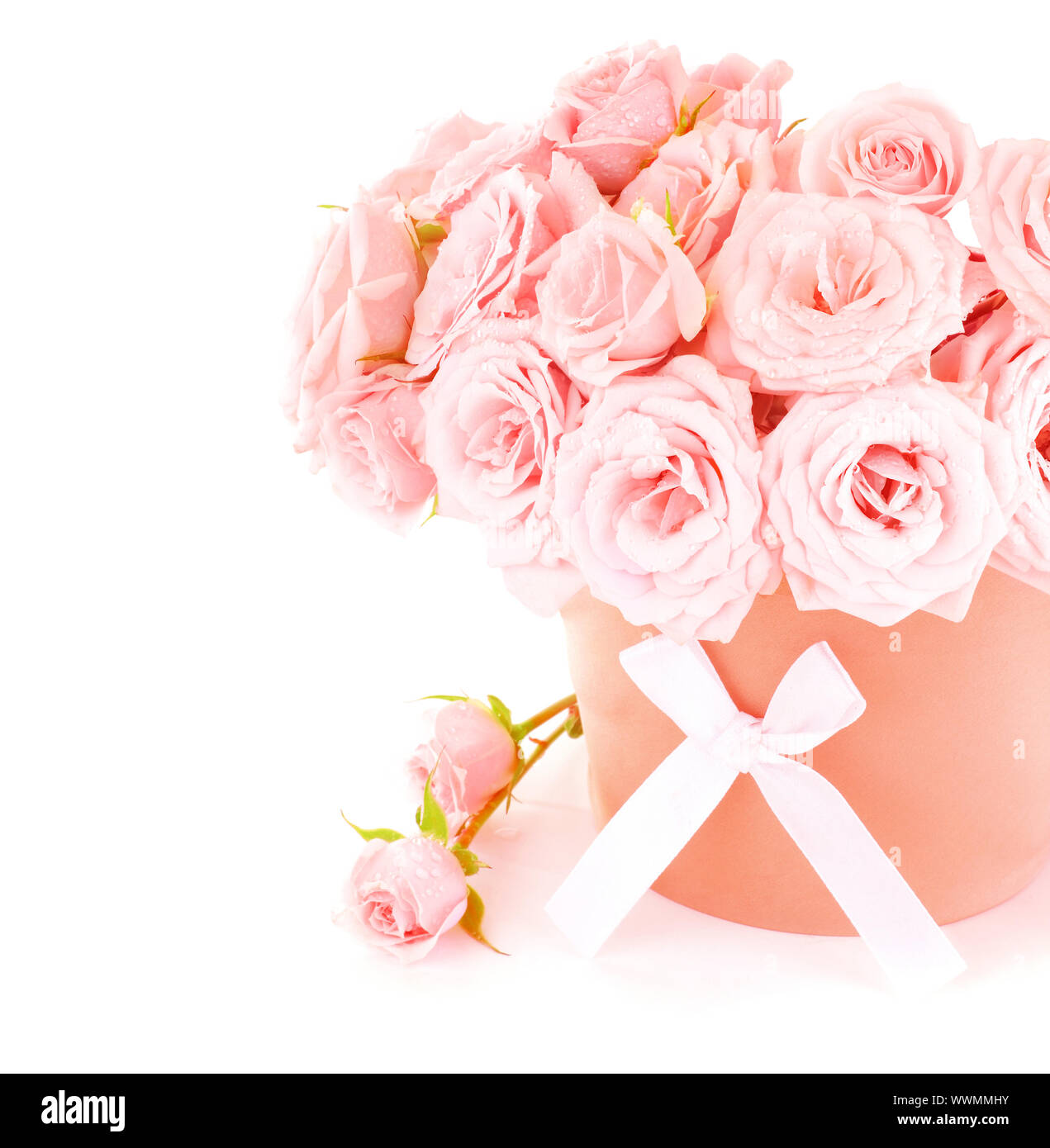 Roses band hi-res stock photography and images - Alamy