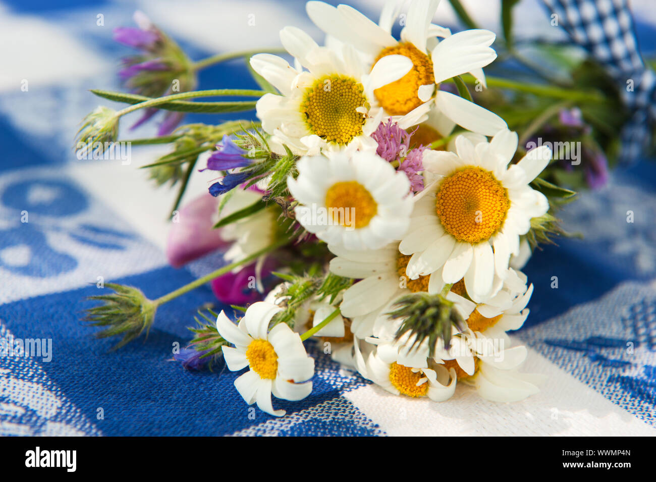 Bouquet wild flowers on blue table cloth Stock Photo - Alamy