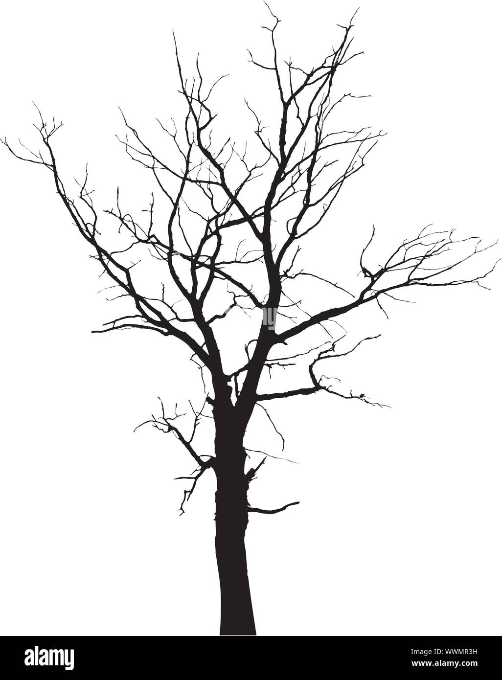Tree Without Leaves Silhouette