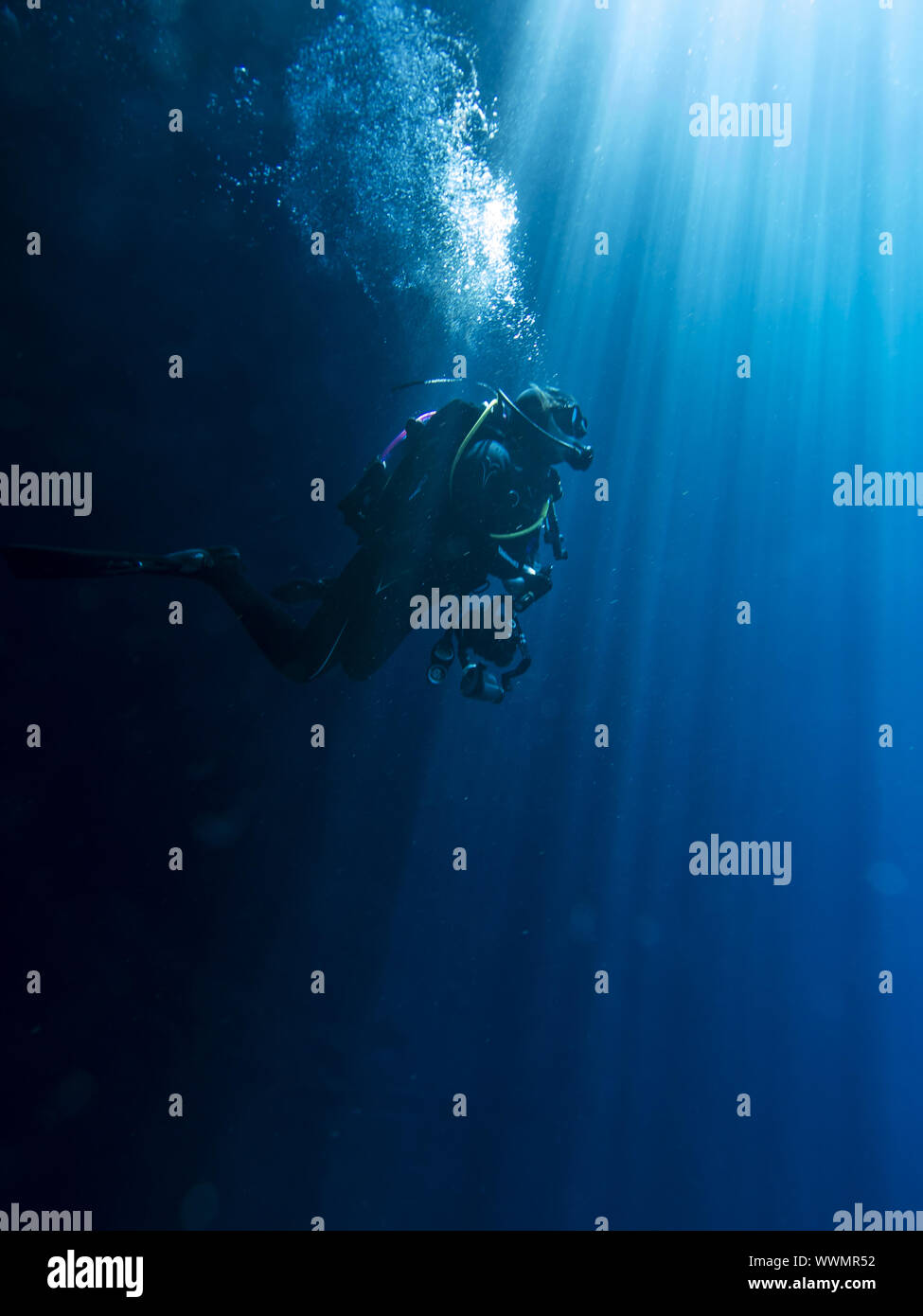 Female diver hi-res stock photography and images - Alamy