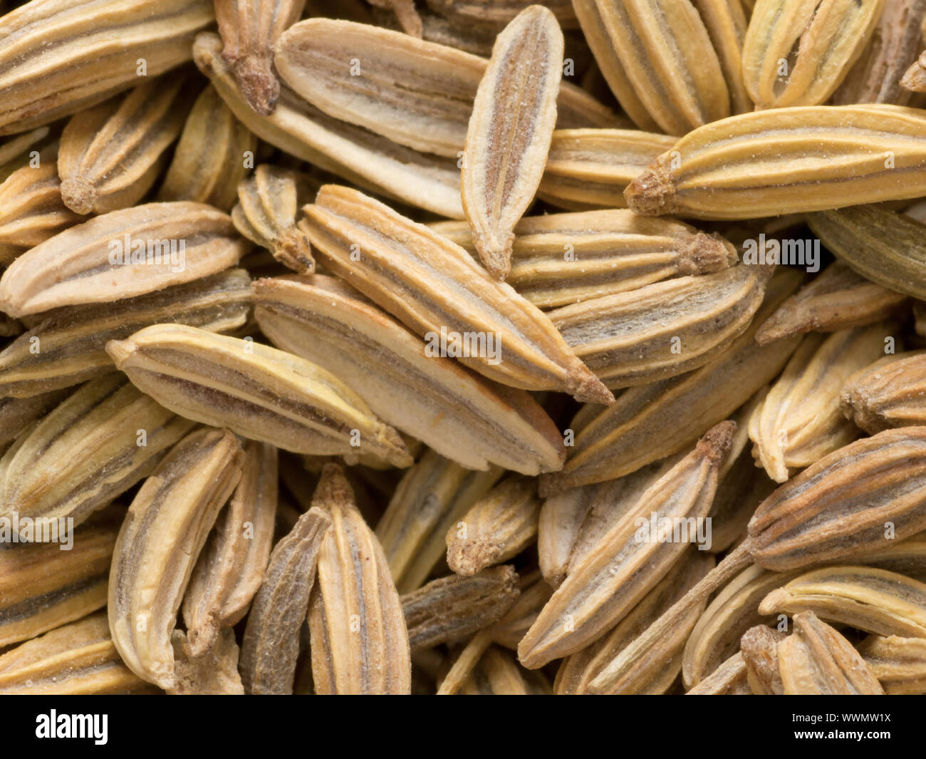 close up of fennel seeds food background Stock Photo - Alamy